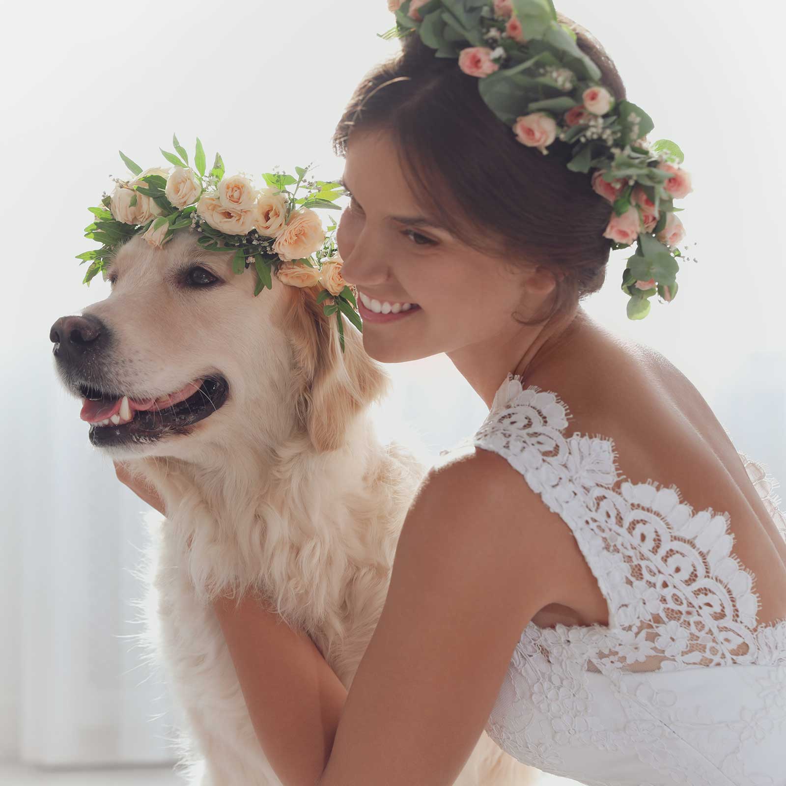 Wedding Dog Chaperone Service | K9 Weddings